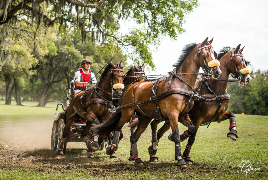 Live Oak International Returns to Impress - March 23, 2023